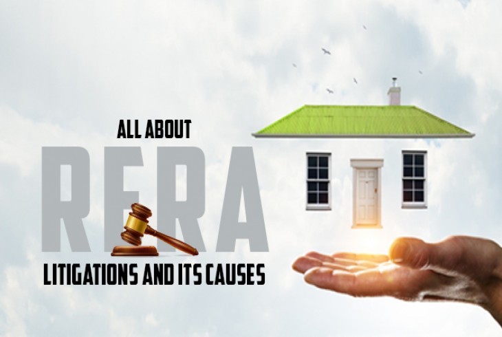 The Major Insights Into RERA Litigation and Its Causes